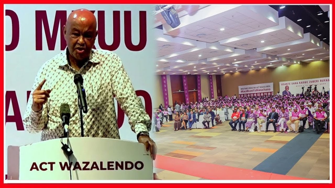 Kinana: Rais Dkt.Samia amedhamiria kwa dhati uchaguzi huru na wa haki ...