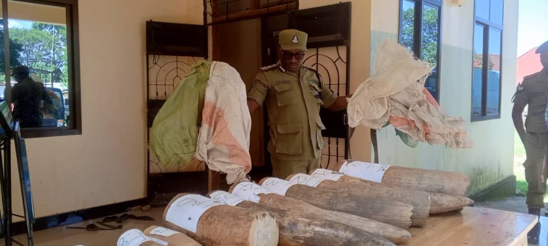 Raia wa Malawi adakwa na meno ya tembo - Timesmajira