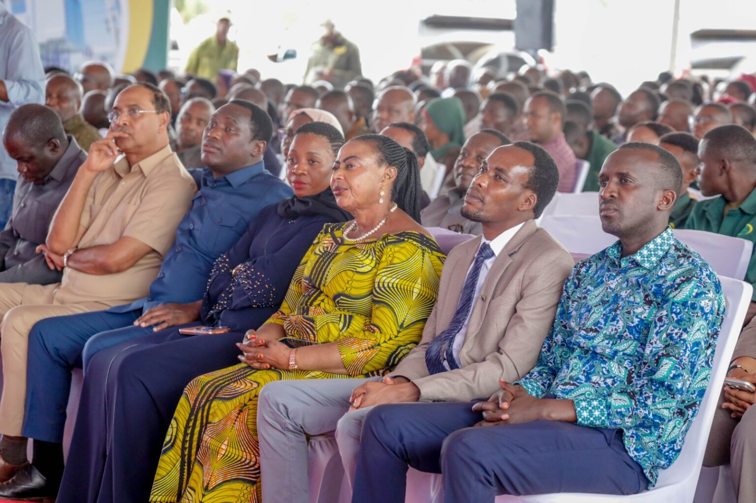 TANESCO yakamilisha Miradi kukamilisha upatikanaji wa Umeme Dodoma ...